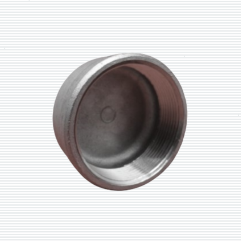 TAPON HEMBRA ROSCADO ACERO INOXIDABLE TIPO 304 150 LBS — PYSESA®