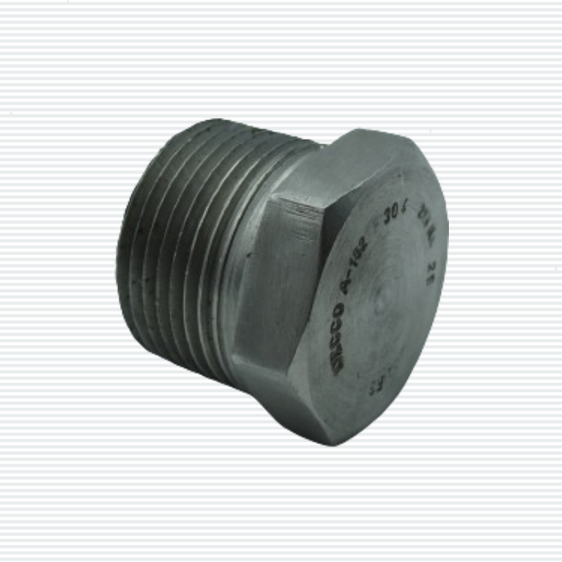 TAPON MACHO ROSCADO ACERO INOXIDABLE TIPO 304 3000 LBS — PYSESA®